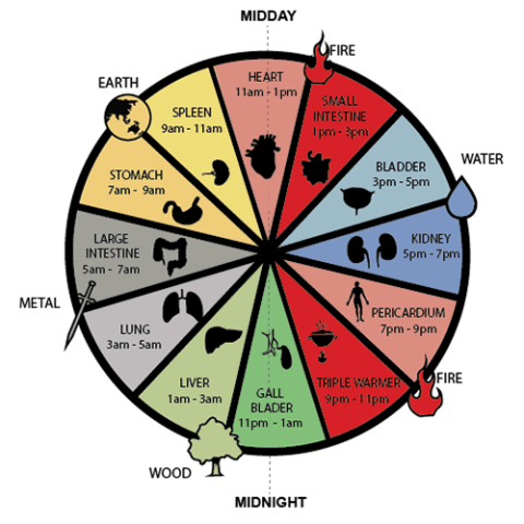 Eating with the Chinese Body Clock | Quiescence Chinese Medicine